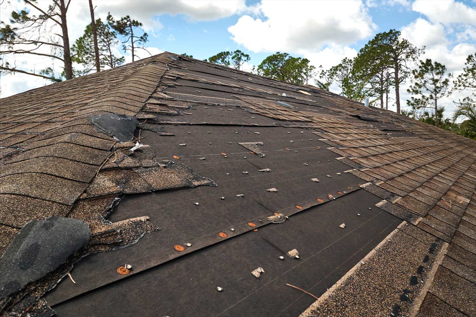 Understanding How Wind Can Damage Your Roof
